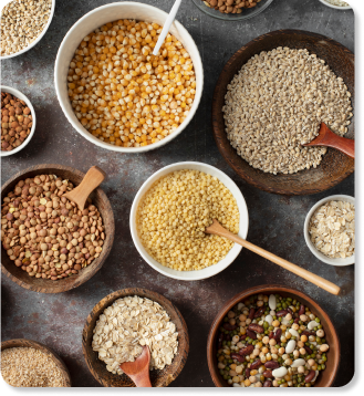 Frissly --- Your Destination for Pure, Organic, Wholesome, and ...